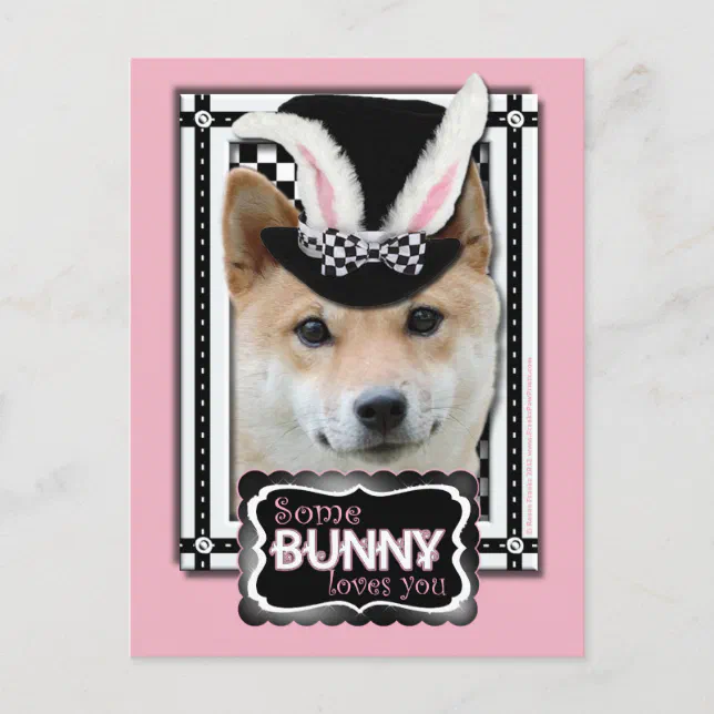 Easter - Some Bunny Loves You - Shiba Inu Holiday Postcard | Zazzle