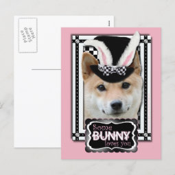 Easter - Some Bunny Loves You - Shiba Inu Holiday Postcard | Zazzle