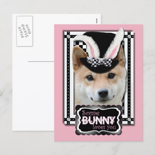 Easter - Some Bunny Loves You - Shiba Inu Holiday Postcard | Zazzle