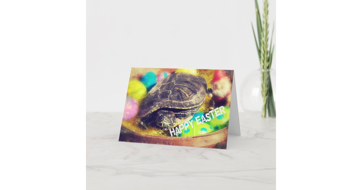 Easter Turtle Holiday Card | Zazzle