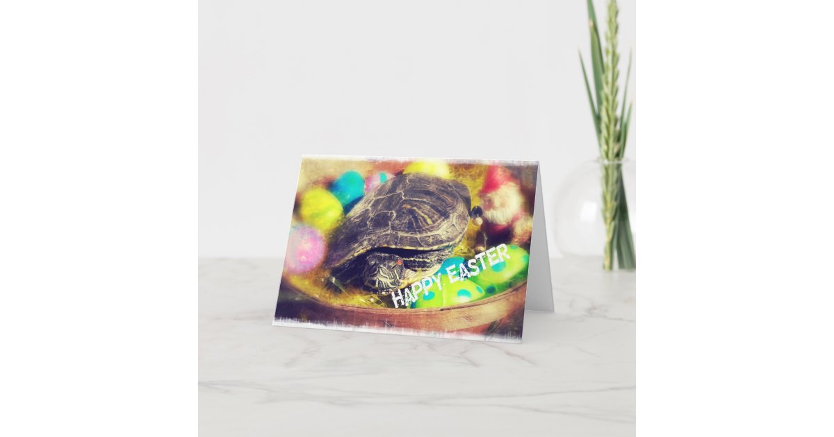 Easter Turtle Holiday Card | Zazzle