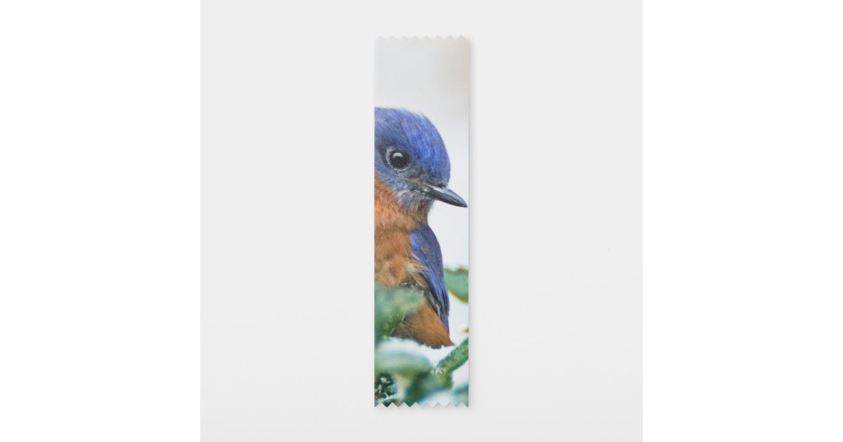 Eastern Bluebird Bookmark | Zazzle