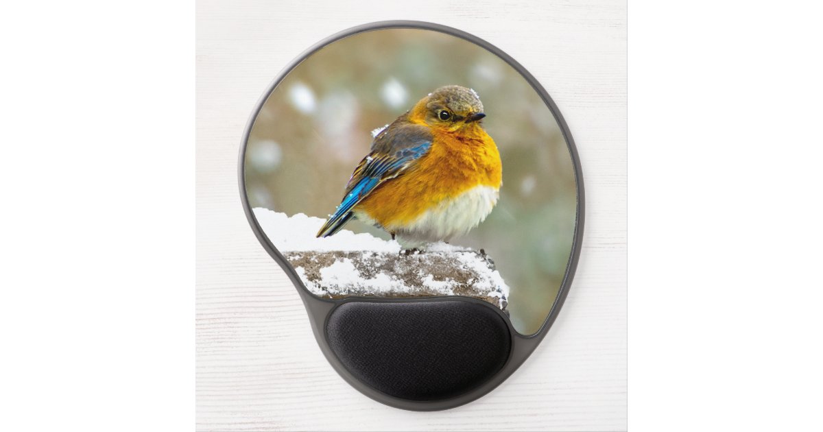 Eastern Bluebird in Snow - Original Photograph Gel Mouse Pad | Zazzle