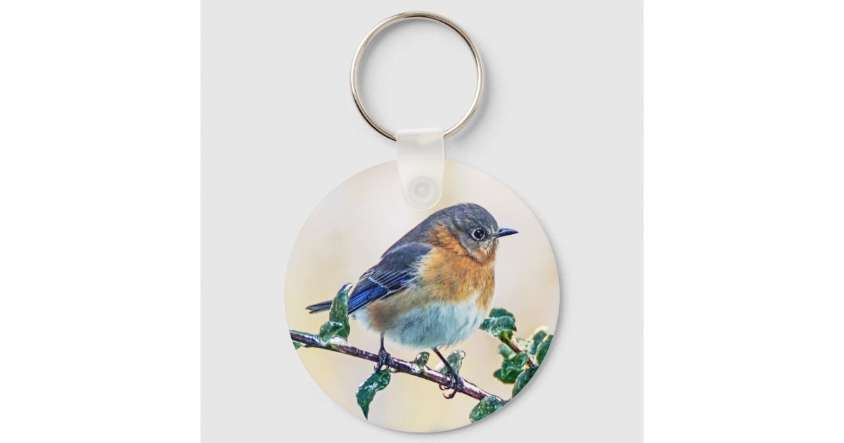 Eastern Bluebird Keychain | Zazzle