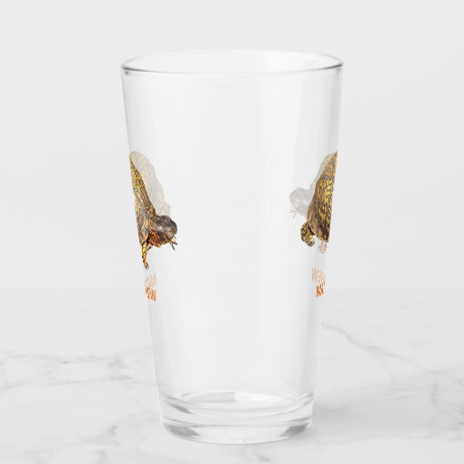 Eastern Box Turtle Photo Personalized Glass | Zazzle