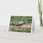 Easter turtle card | Zazzle.com