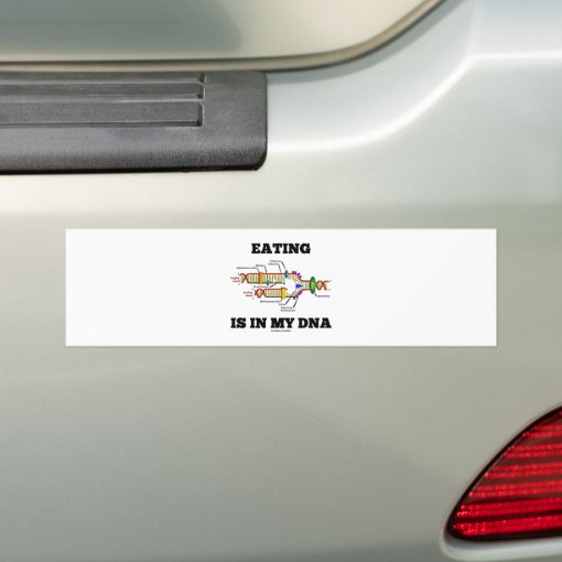 Eating Is In My DNA (DNA Replication Humor) Bumper Sticker | Zazzle
