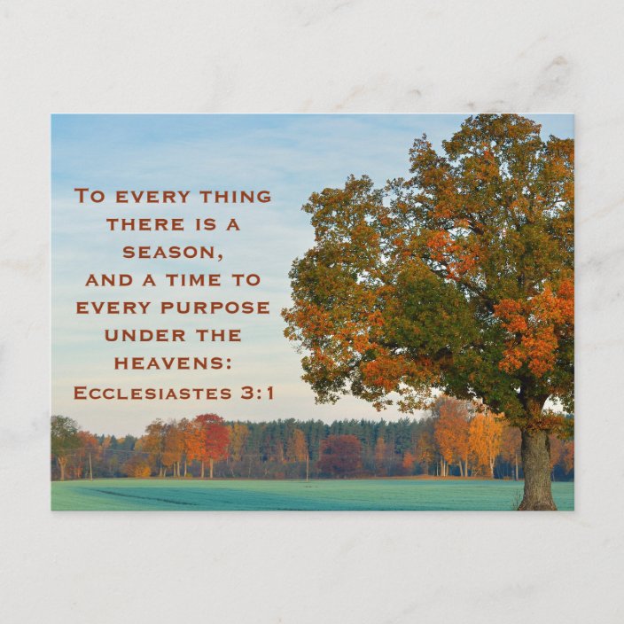 Ecclesiastes 3:1 To Everything there is a Season Postcard | Zazzle.com