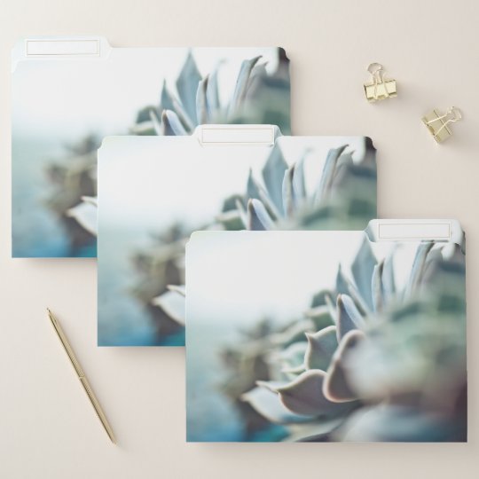 Echeveria succulent file folder | Zazzle.com