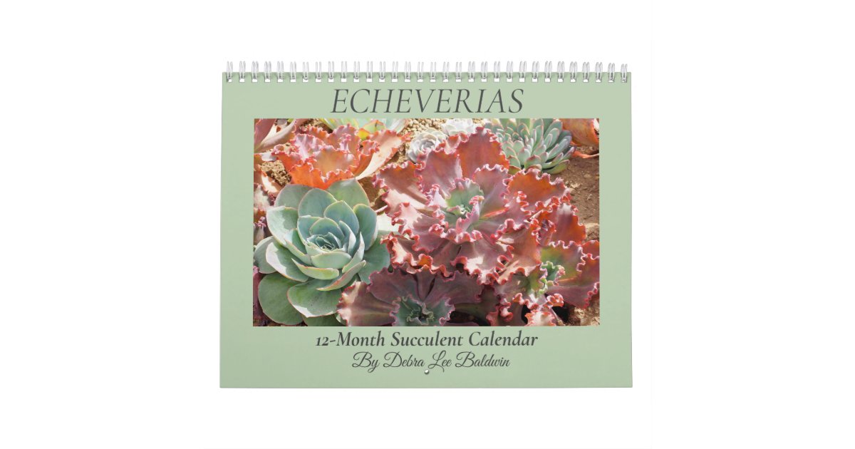Echeverias Succulent 12-Month Calendar | Zazzle