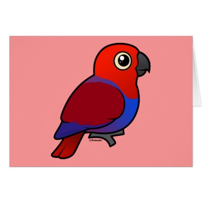 Cute Eclectus Parrot by Birdorable