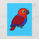 Cute Eclectus Parrot by Birdorable