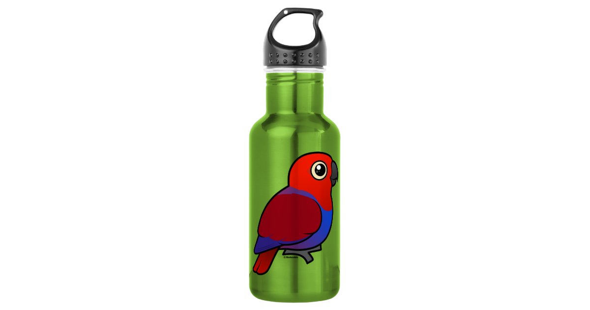 Eclectus Parrot female Water Bottle | Zazzle
