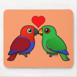 Cute Eclectus Parrot by Birdorable