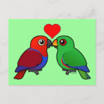 Cute Eclectus Parrot by Birdorable