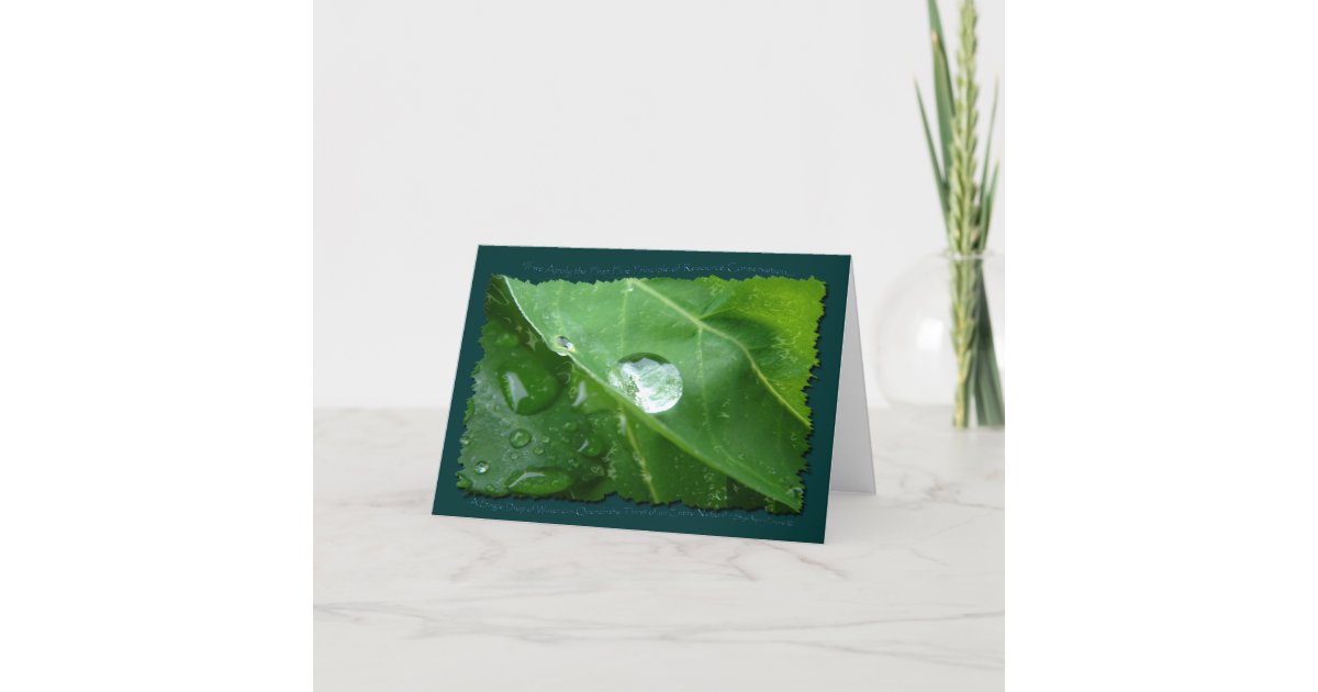 ECO FRIENDLY WATER CONSERVATION Gifts & Gear Card | Zazzle