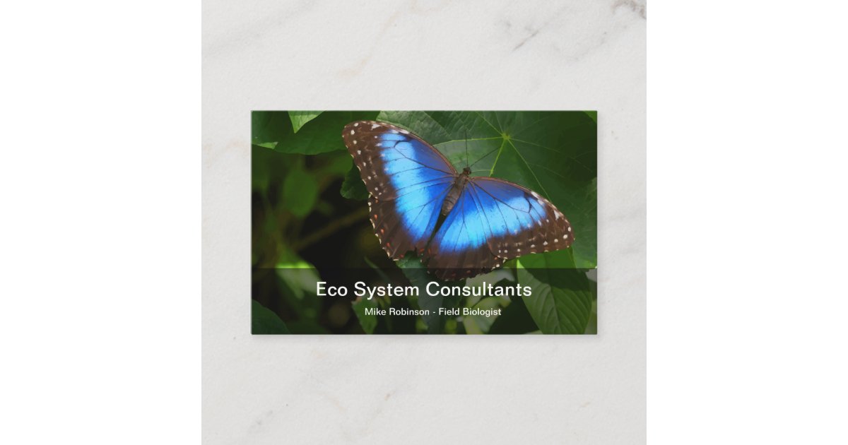 Eco Systems Biologist Business Card | Zazzle