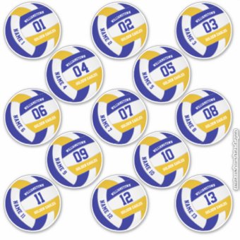 economical set of 13 volleyball team colors sticker | Zazzle