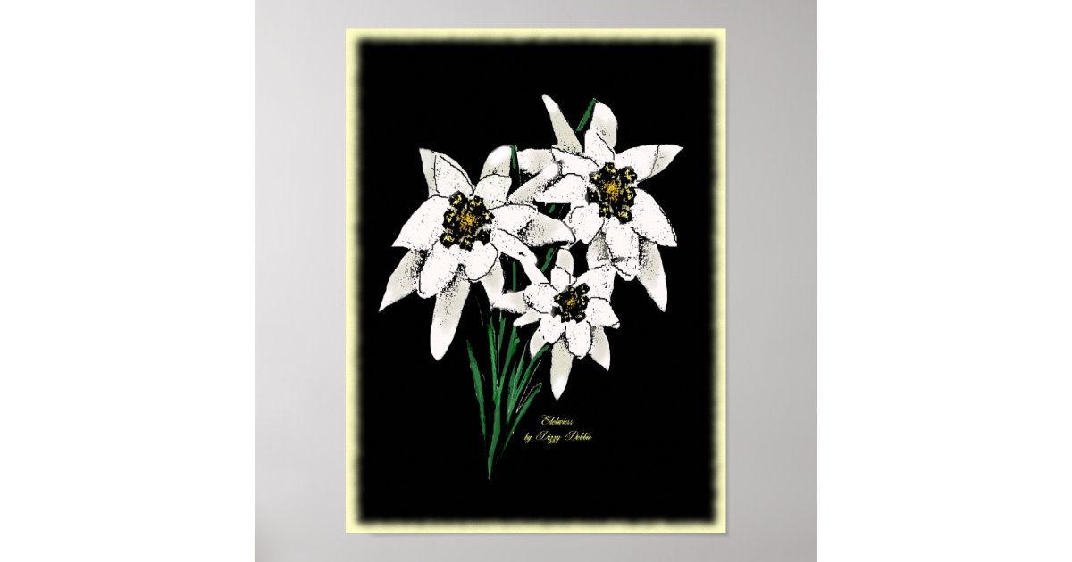 Edelweiss Artwork Print | Zazzle