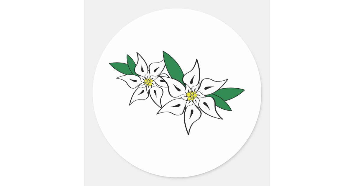 Edelweiss Classic Round Sticker | Zazzle