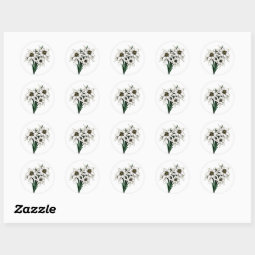 Edelweiss Flowers Classic Round Sticker | Zazzle