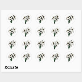 Edelweiss Flowers Classic Round Sticker | Zazzle