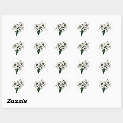 Edelweiss Flowers Classic Round Sticker | Zazzle