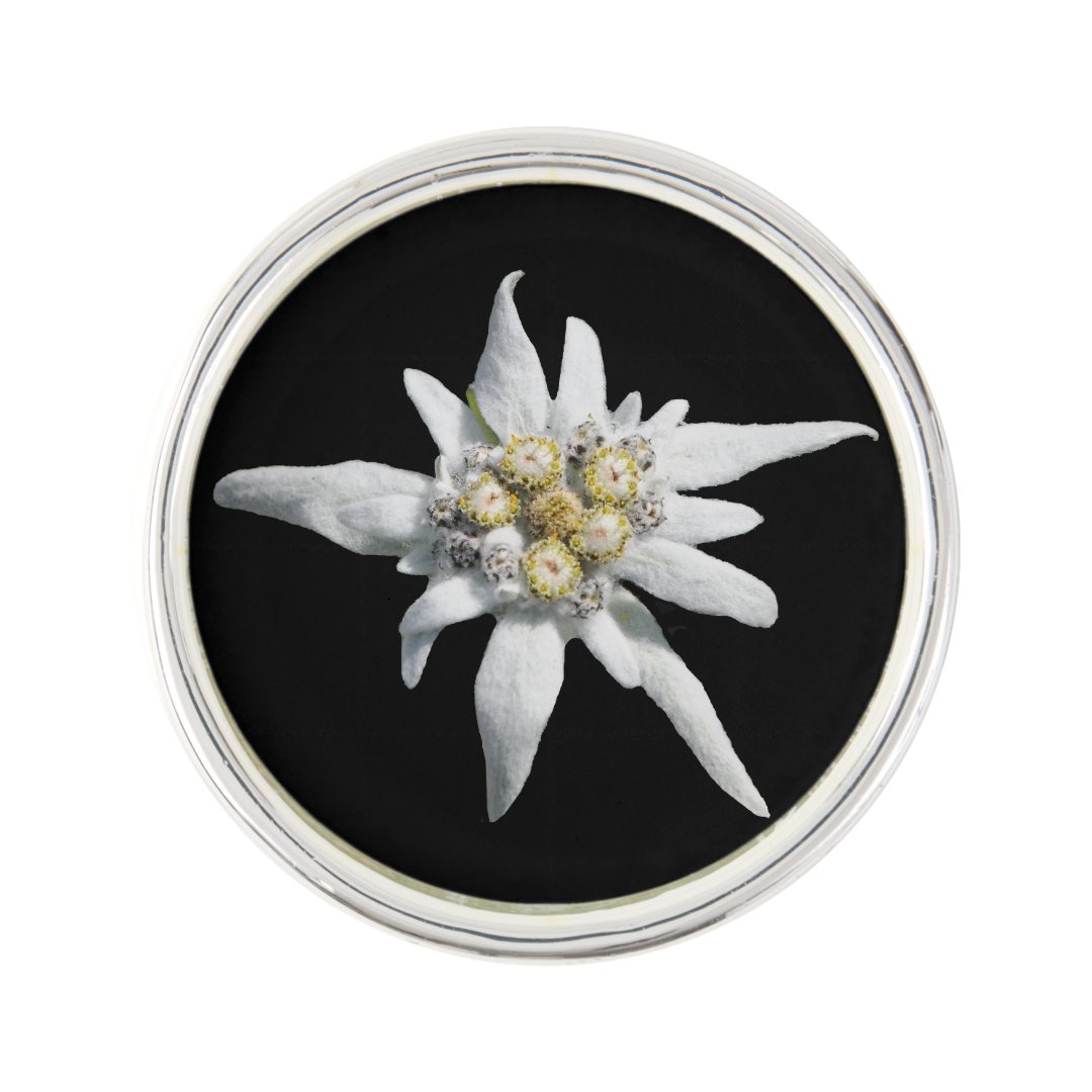 Edelweiss Photo Lapel Pin | Zazzle