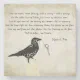 Edgar Allen Poe Stone Coaster | Zazzle