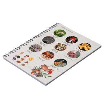 Edible Mushrooms Photos Guide Chart Journal | Zazzle