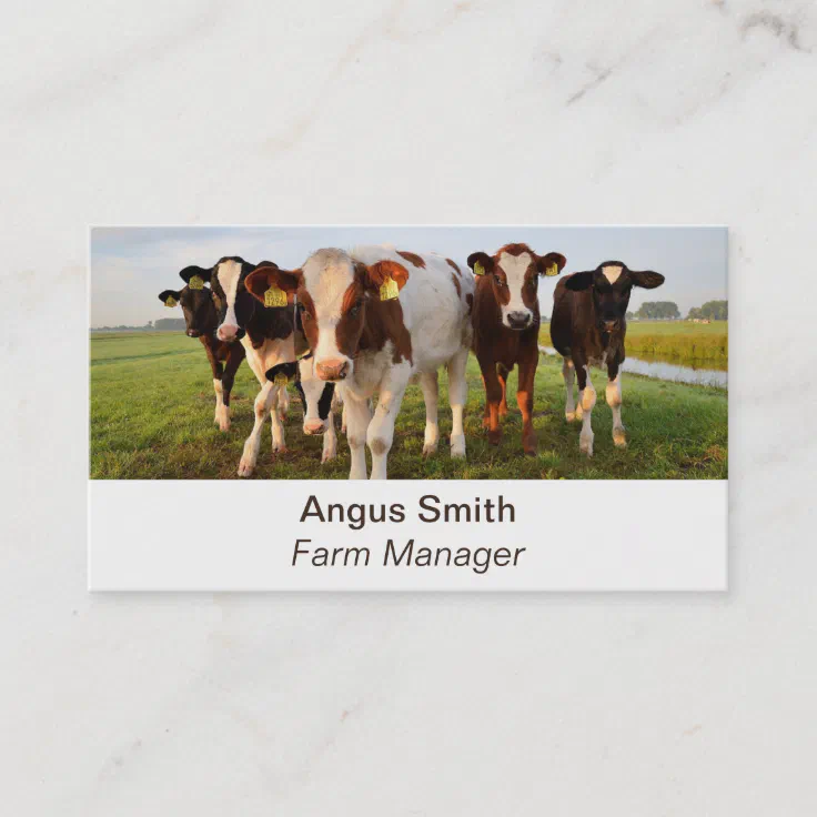 Editable Cattle Farmer Butcher Business Card | Zazzle