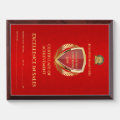 Editable certificate red gold business excellence award plaque | Zazzle