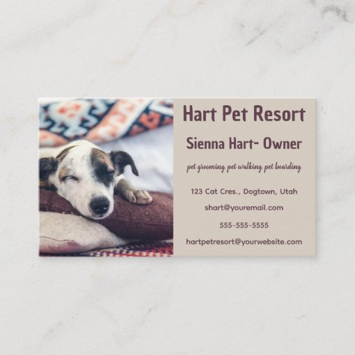 Editable Pet Resort Business Card | Zazzle