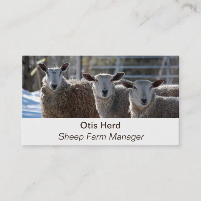 Editable Sheep Farmer Butcher Business Card | Zazzle