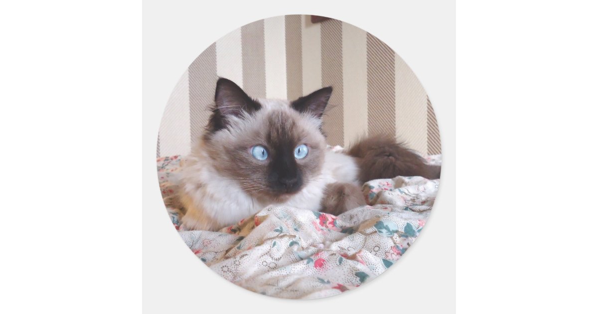 Edith Classic Round Sticker | Zazzle