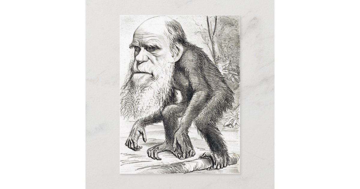 Editorial Cartoon Of Charles Darwin 1871 Postcard | Zazzle