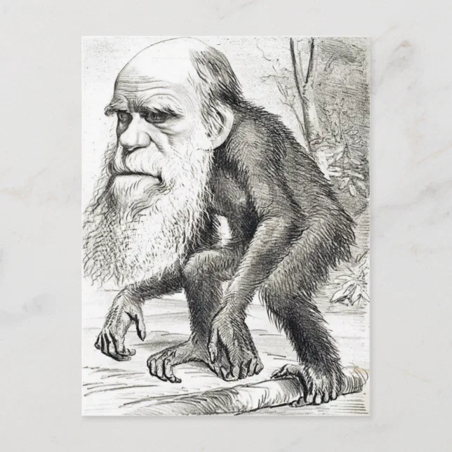 Editorial Cartoon Of Charles Darwin 1871 Postcard | Zazzle