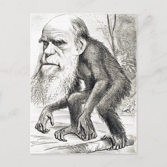 Editorial Cartoon Of Charles Darwin 1871 Postcard | Zazzle.com