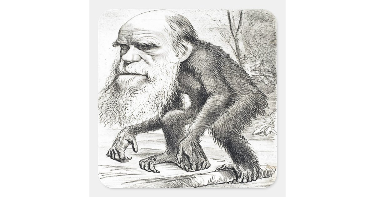 Editorial Cartoon Of Charles Darwin 1871 Square Sticker | Zazzle