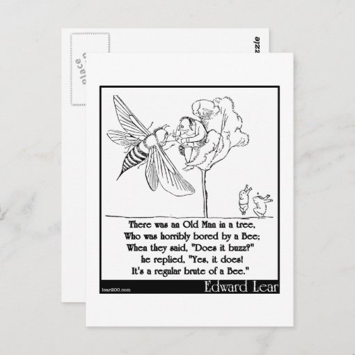 Edward Lear's Old Man in a tree Limerick Postcard | Zazzle