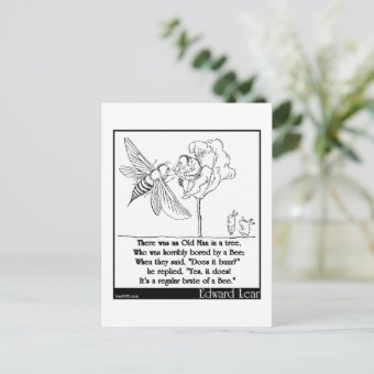 Edward Lear's Old Man in a tree Limerick Postcard | Zazzle