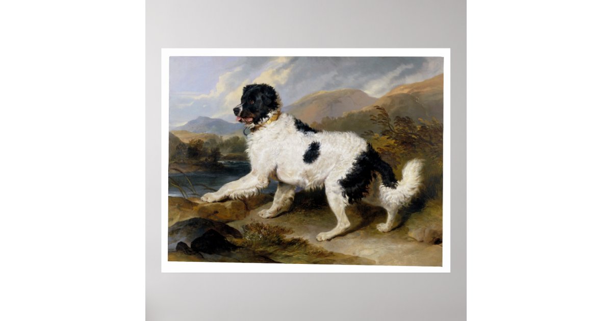 Edwin Henry Landseer Lion A Newfoundland Dog Poster | Zazzle