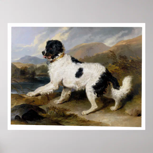 Edwin Henry Landseer Lion A Newfoundland Dog Poster | Zazzle