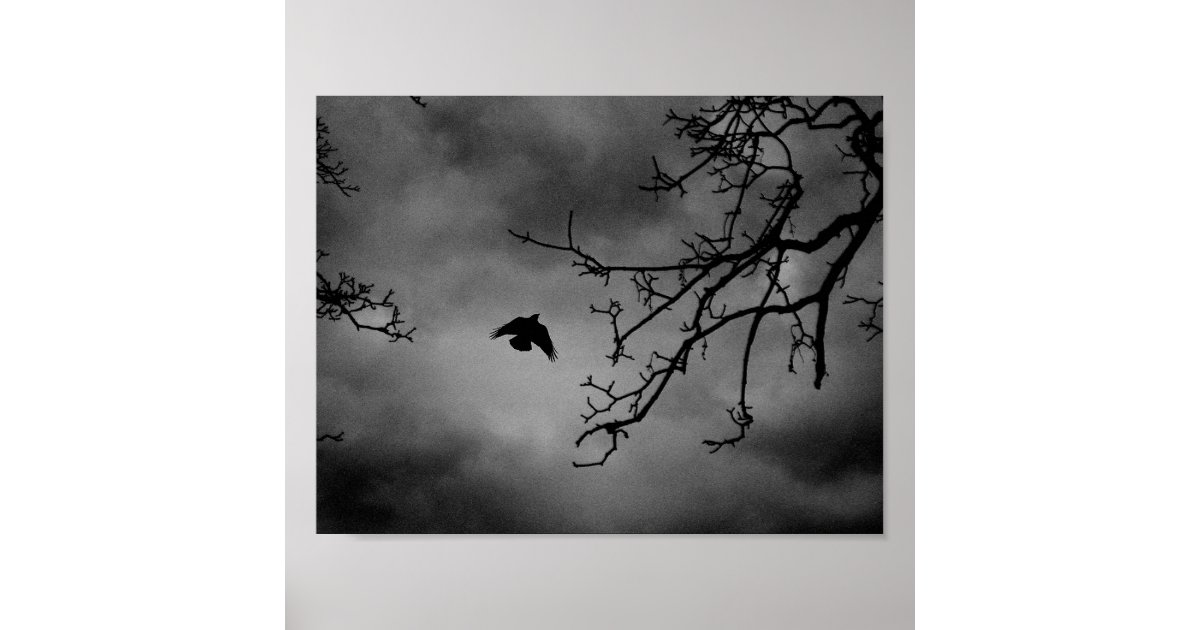 Eerie Bird in Flight Poster | Zazzle