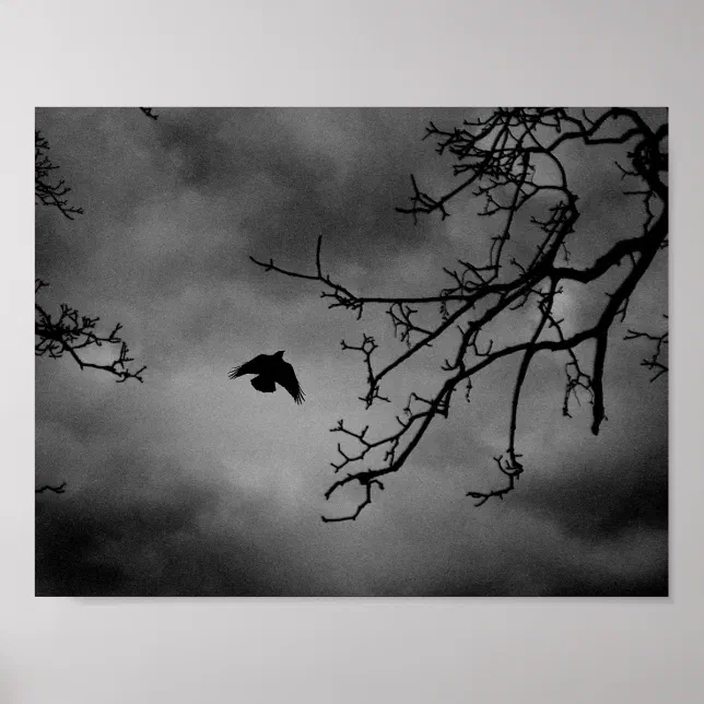Eerie Bird in Flight Poster | Zazzle