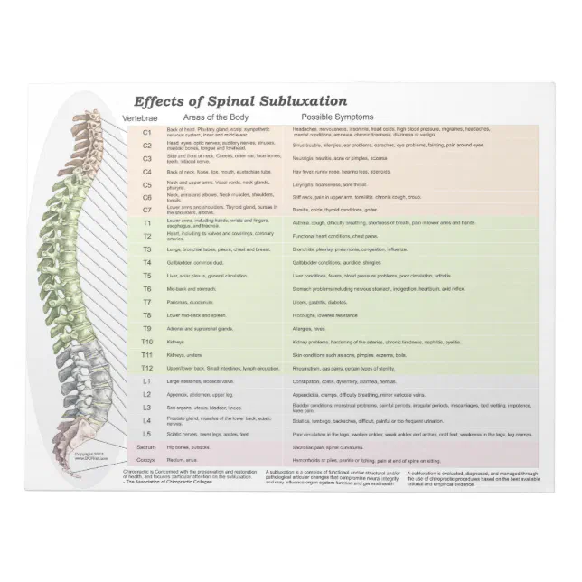 Effects of Spinal Subluxation Tear Off Notepad | Zazzle