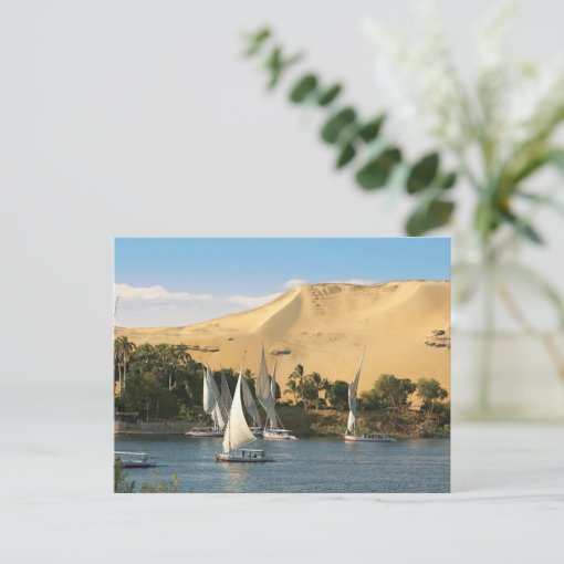 Egypt, Aswan, Nile River, Felucca sailboats, 2 Postcard | Zazzle