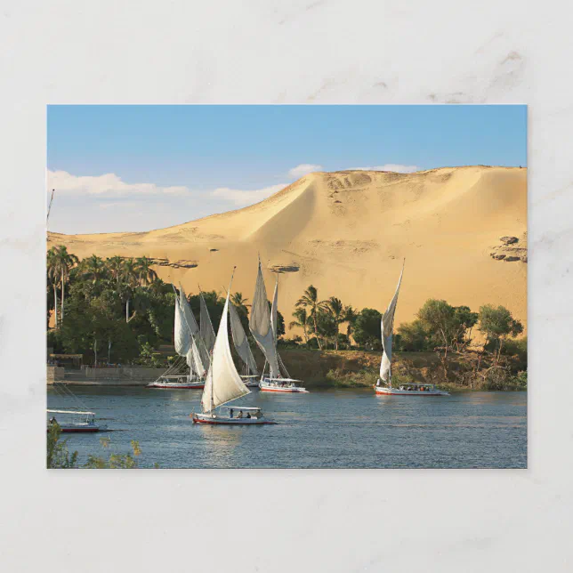 Egypt, Aswan, Nile River, Felucca sailboats, 2 Postcard | Zazzle