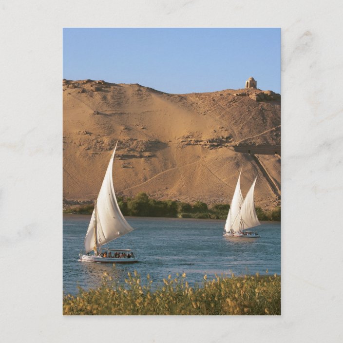 Egypt, Aswan, Nile River, Felucca sailboats, Postcard | Zazzle.com