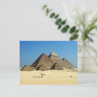 Egypt postcard | Zazzle